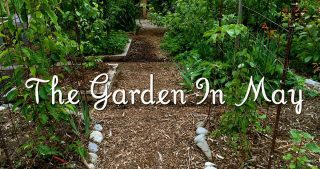 The Garden In May – Photo Tour | Northwest Edible Life