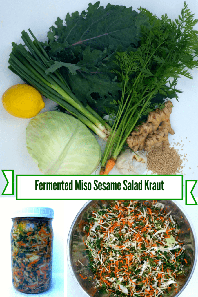 Fermented Miso Sesame Salad Kraut | Northwest Edible Life