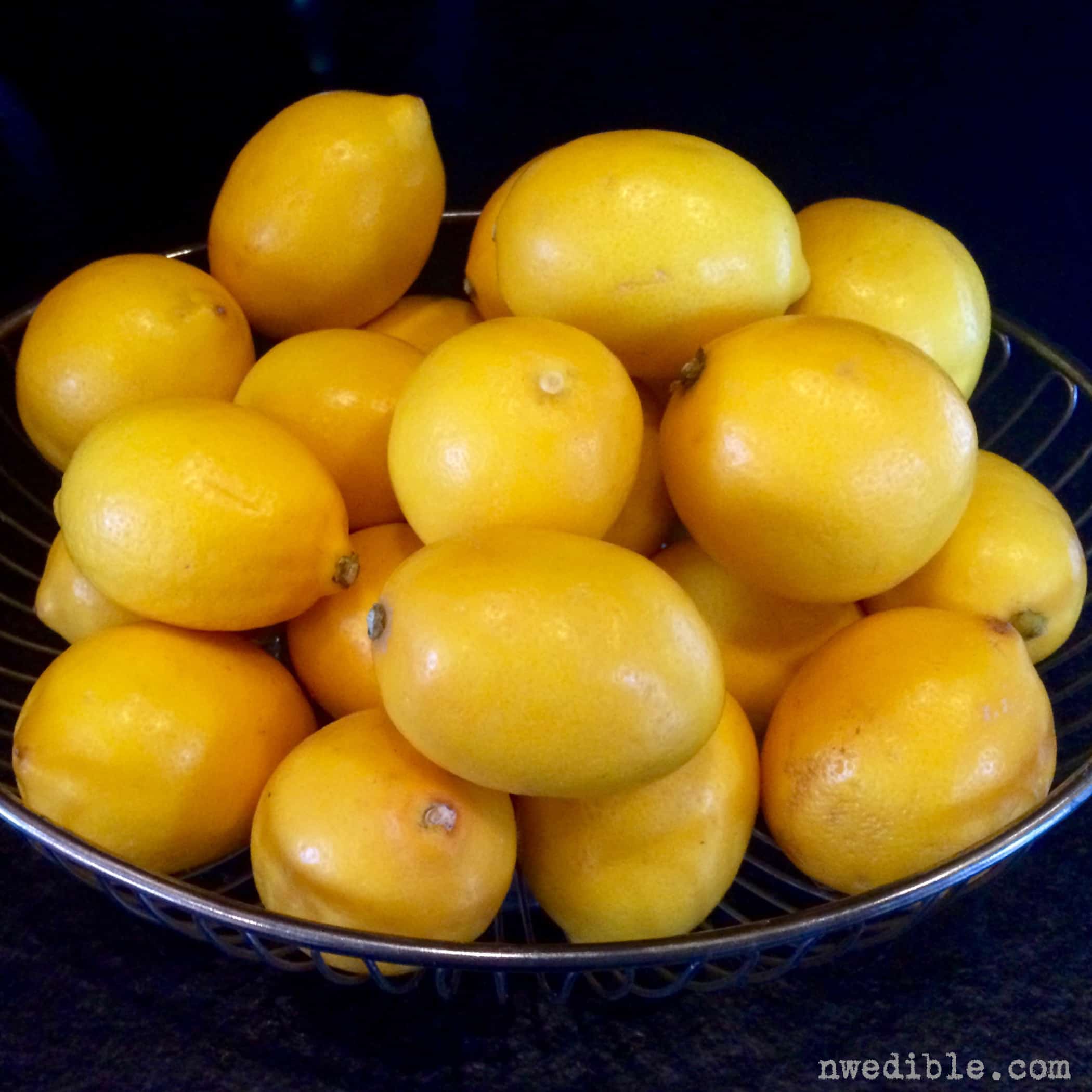 MeyerLemons | Northwest Edible Life