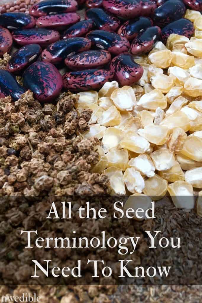 All the Seed Terminology You Need To Know | Northwest Edible Life