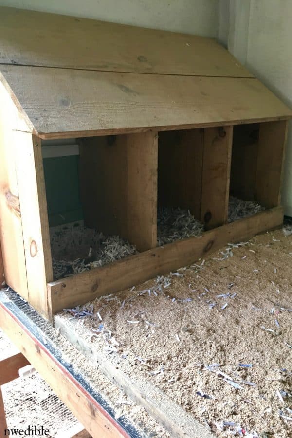 11 Chicken Coop Features I’ll Never Live Without | Northwest Edible Life